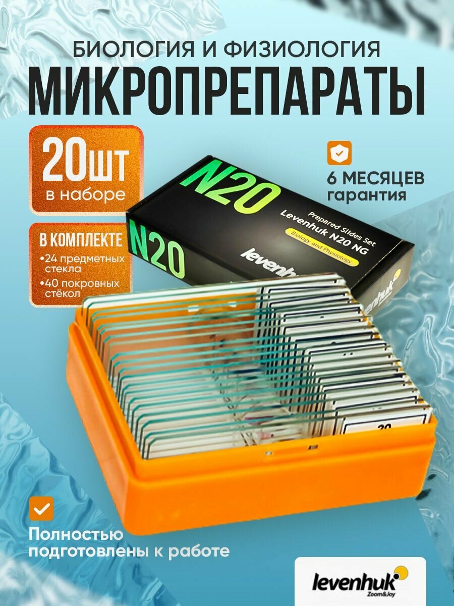 Набор микропрепаратов Levenhuk N20 NG для самостоятельных исследований