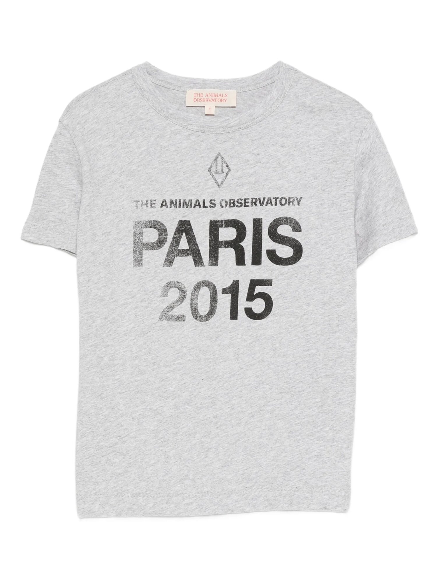 Футболка Rooster