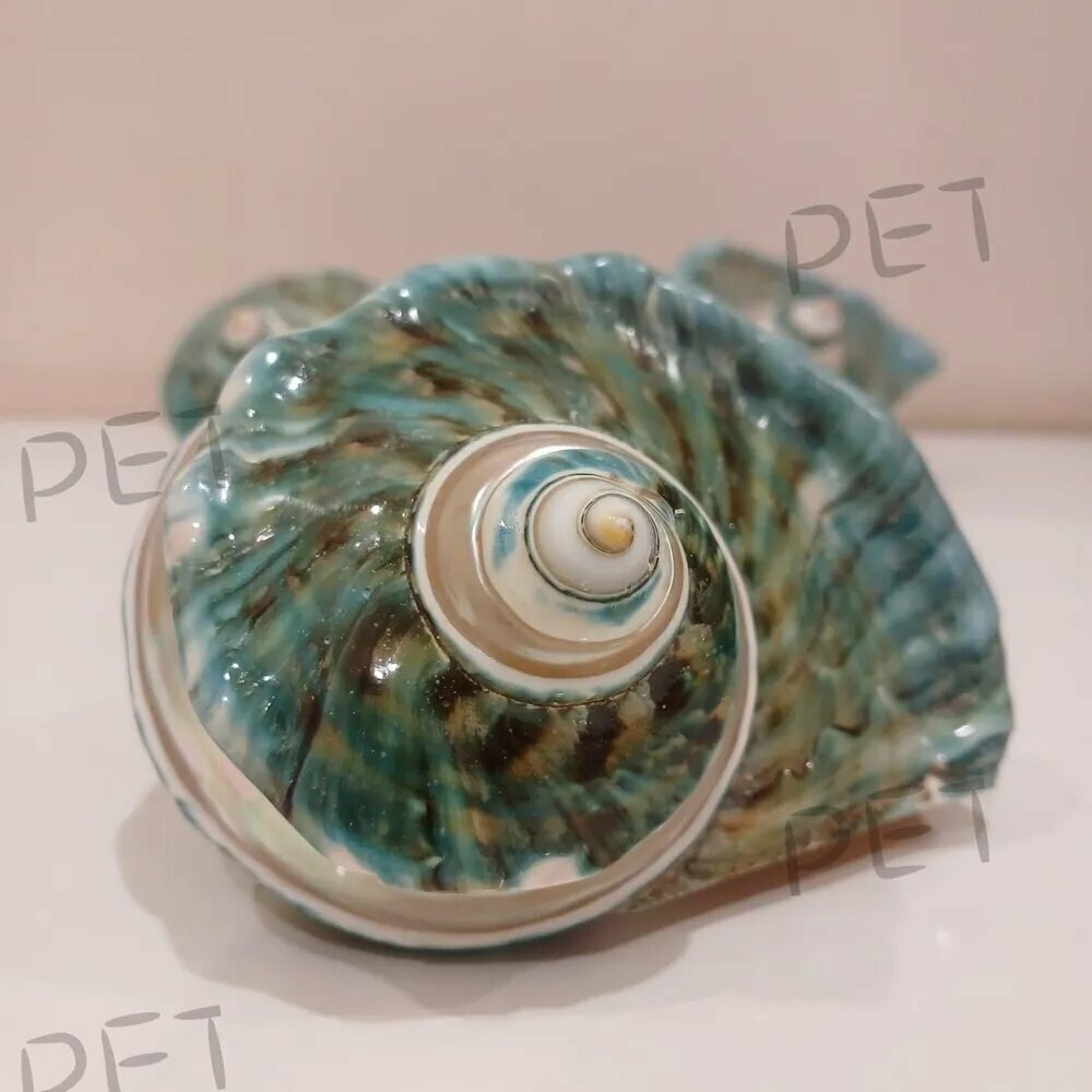 Декорация для аквариума