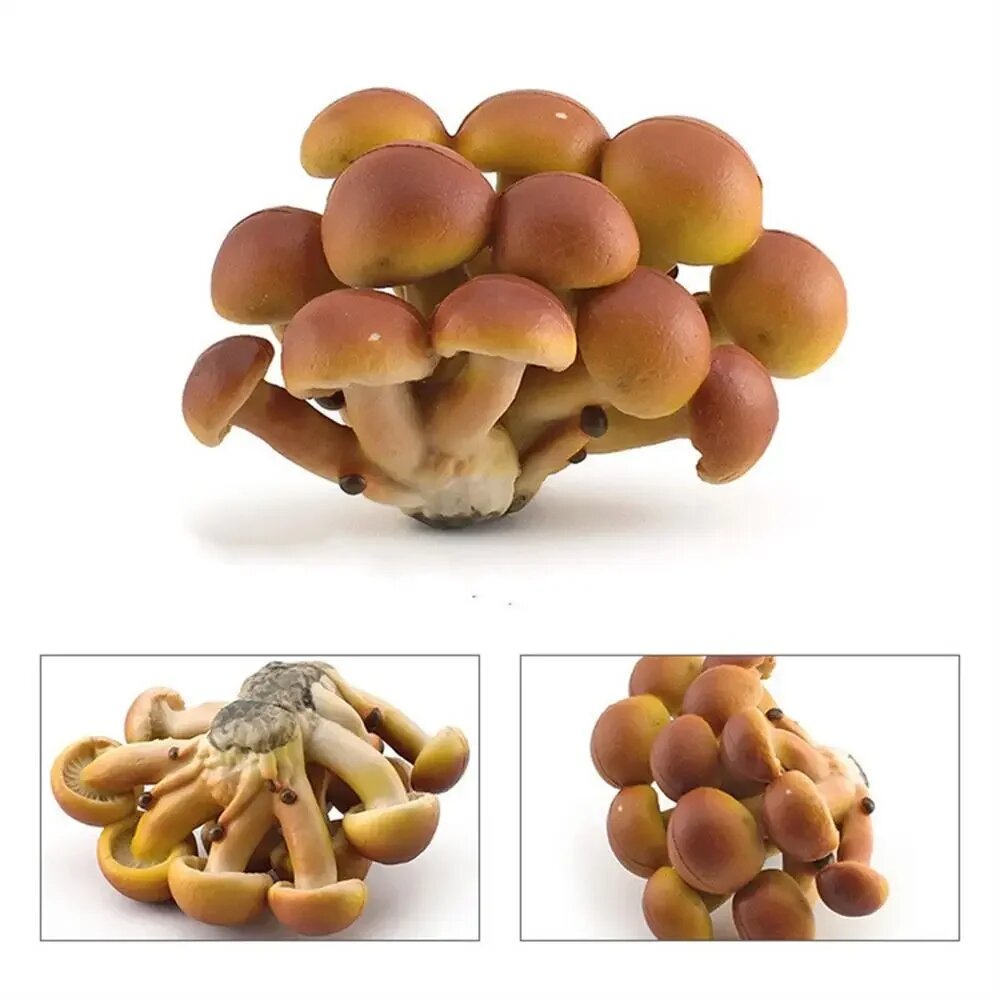 Фигурки грибов Pholiota, канифоль
