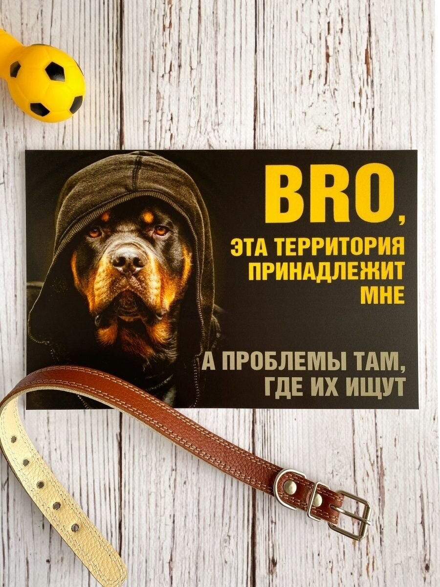 Табличка на дом Злая собака 20х30 см