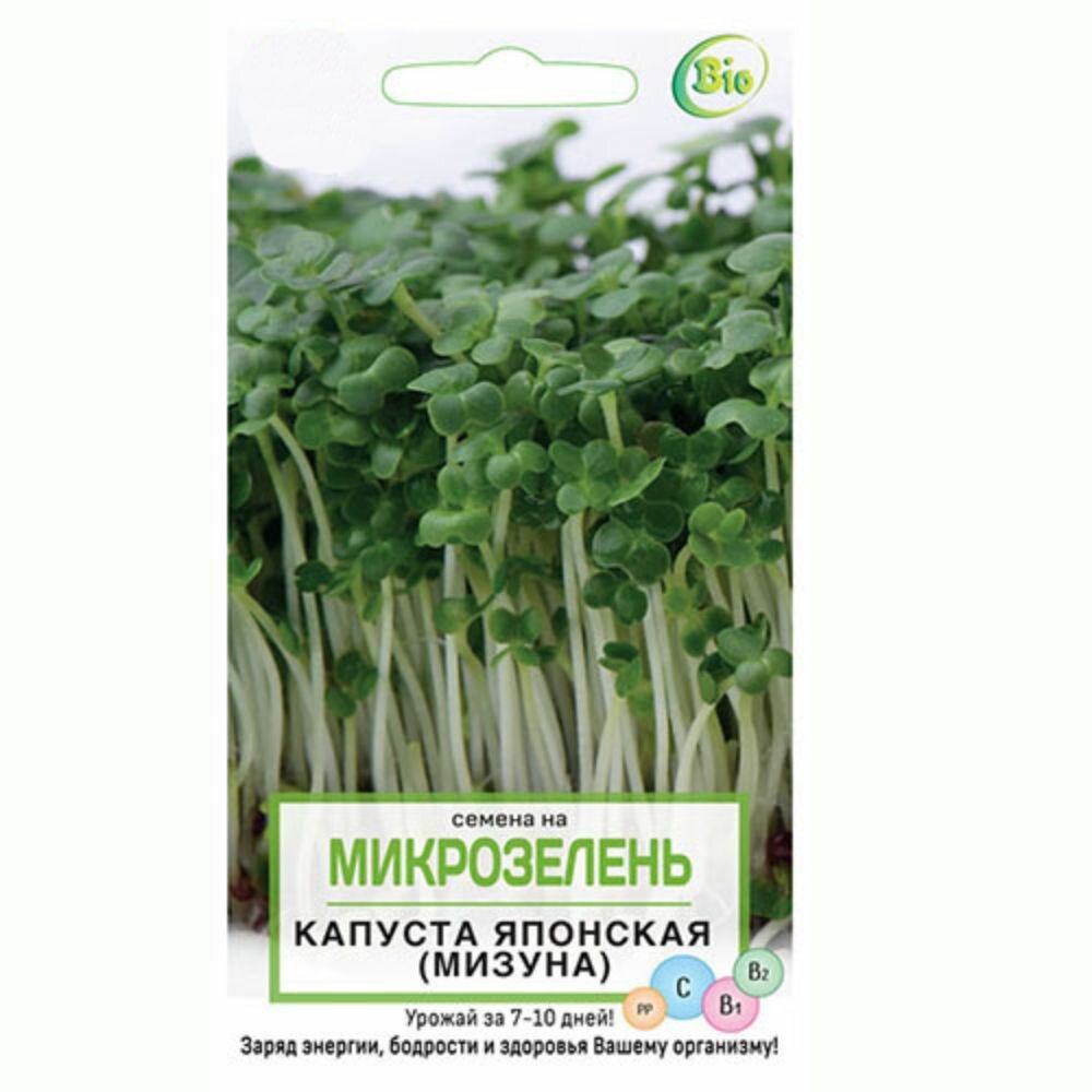 Микрозелень Капуста японская мизуна 5 гр, ценный питательный продукт, обладающий пикантным пряным вкусом. Станет полезным дополнением к салатам или бутербродам