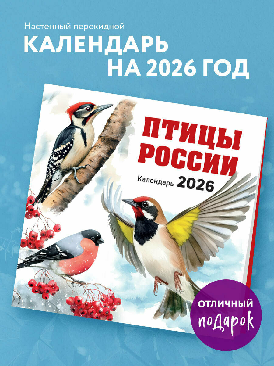 Птицы России. Календарь настенный на 2026 год (300х300 мм)