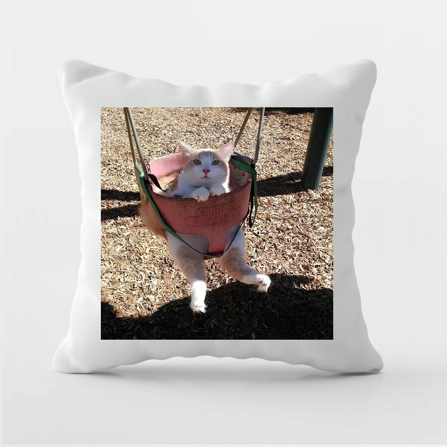 Подушка / Котики / Мем