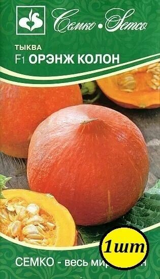 Семена Тыква Орэнж Колон F1 5шт 1 пакет
