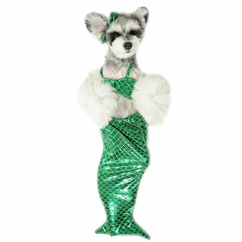 Одежда для животных