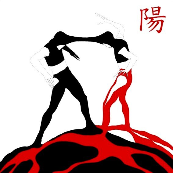 Виниловая пластинка Animal ДжаZ - Инь / Ян (Black Vinyl 2LP)