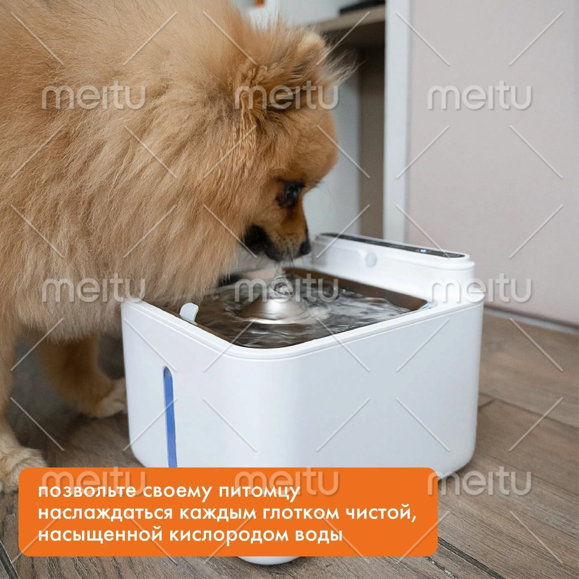 Беспроводной диспенсер для воды для кошек и собак, 3,2 литра из нержавеющей стали, срок службы батареи 4000 мАч в течение 60 дней, бесшумная система фильтрации циркулирующей воды, легко моется