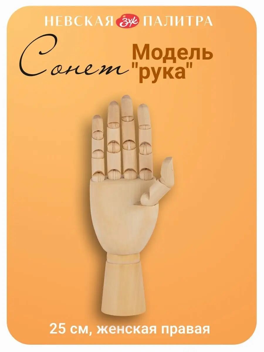 Модель художественная "Рука" Невская палитра Сонет, 25 см, женская правая DK16604