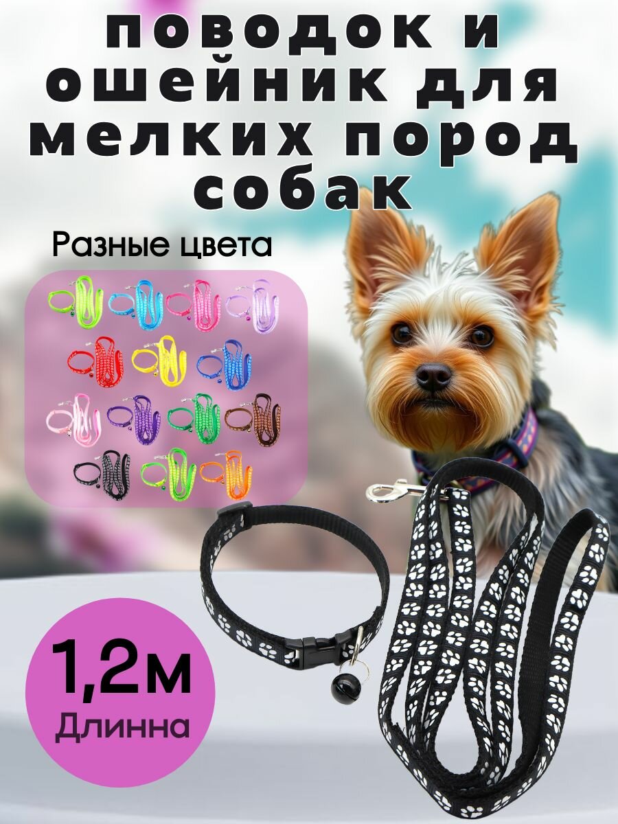 Поводок и ошейник для собак мелких пород щенков и кошек цвета，Подходит для домашних животных весом 2-5 кг