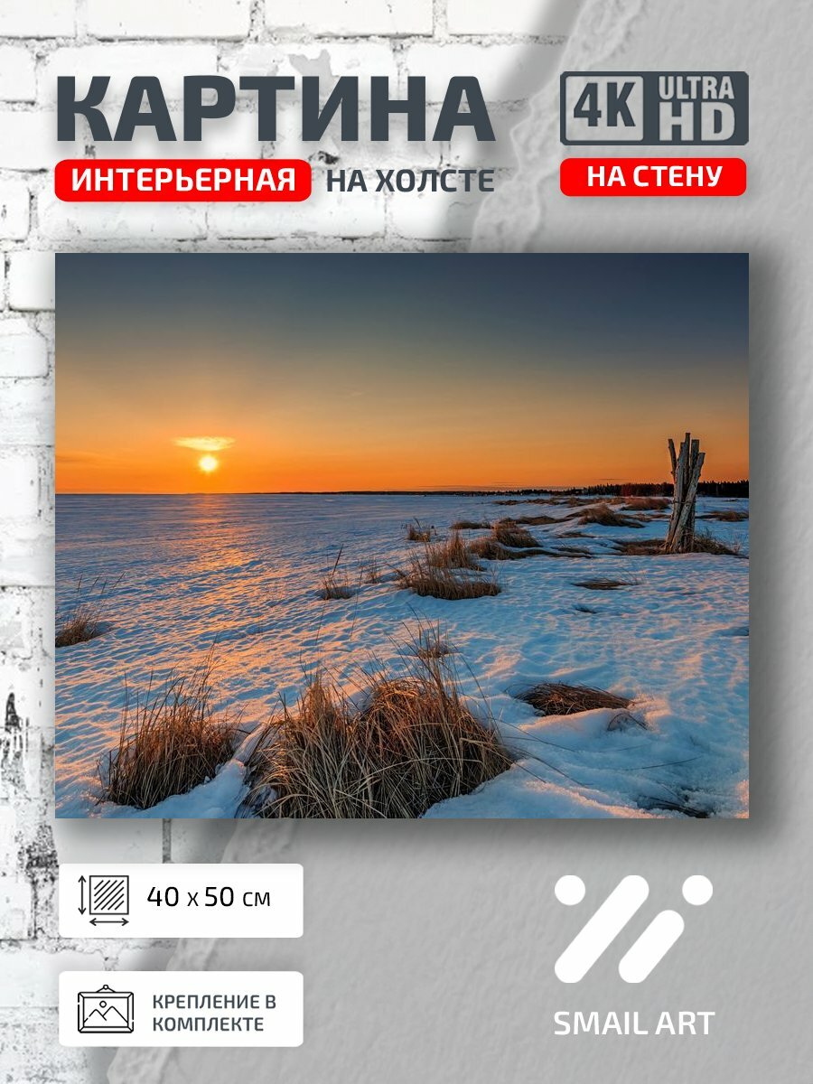 Картина на холсте интерьерная 40 на 50 на стену Поле Landscape для офиса пейзаж интерьер