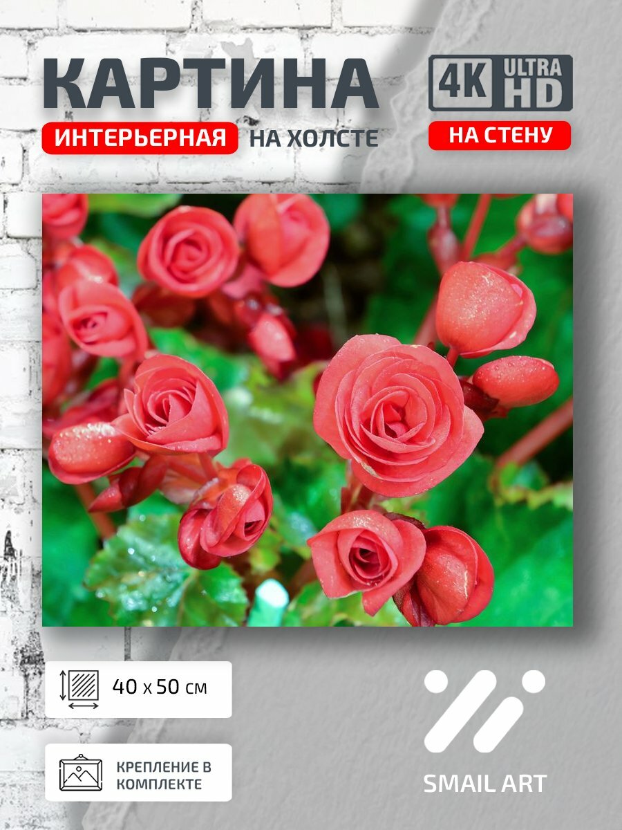 Картина на холсте интерьерная 40 на 50 на стену Розы Mood для кабинета атмосфера интерьер