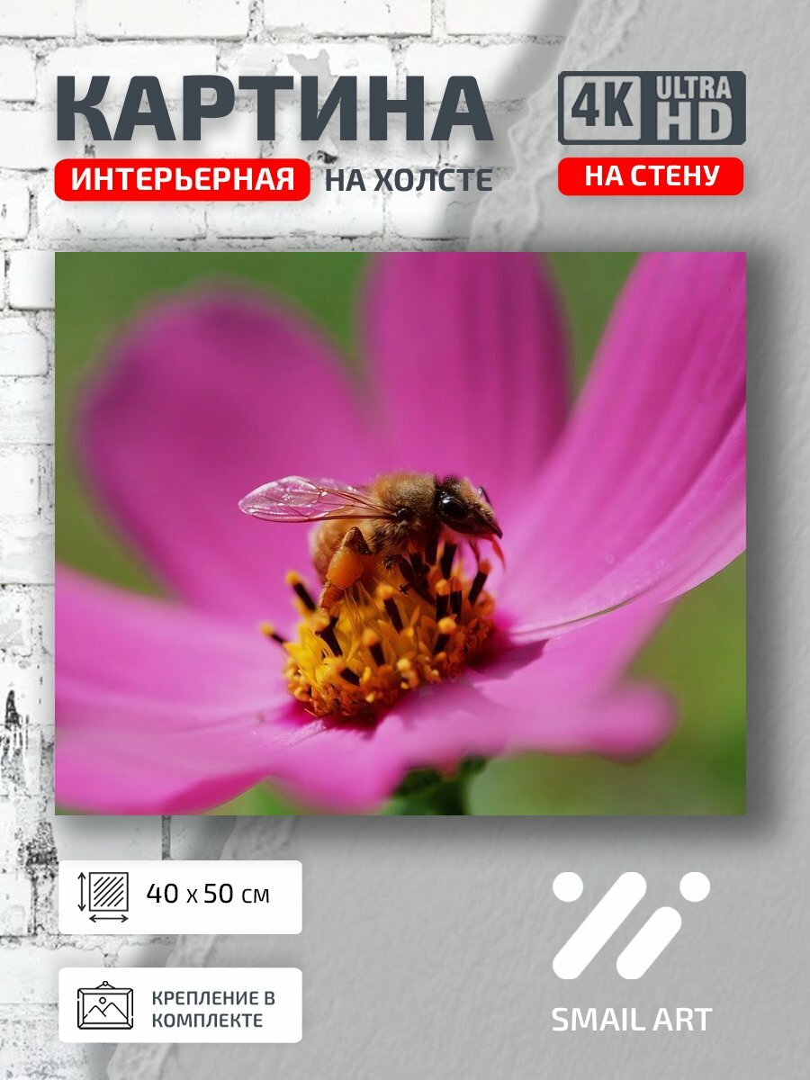 Картина на холсте интерьерная 40 на 50 на стену Весна Landscape для кабинета пейзаж декор