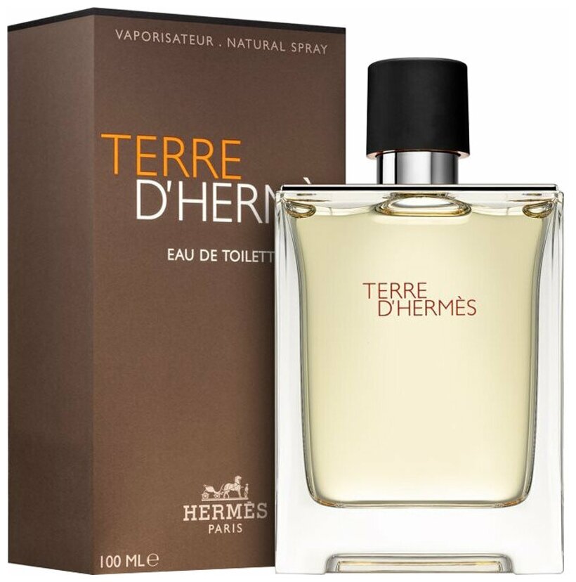 Туалетная вода Hermes мужская Terre D'Hermes, 100 мл