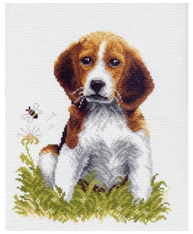 Рисунок на канве Матренин Посад "Рекс", 28x37 см