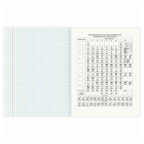 Тетрадь предметная "кот-энтузиаст" 48 л, TWIN-лак, химия, клетка, подсказ, BRAUBERG, 404567