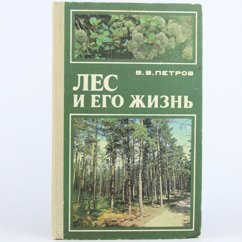 Лес и его жизнь