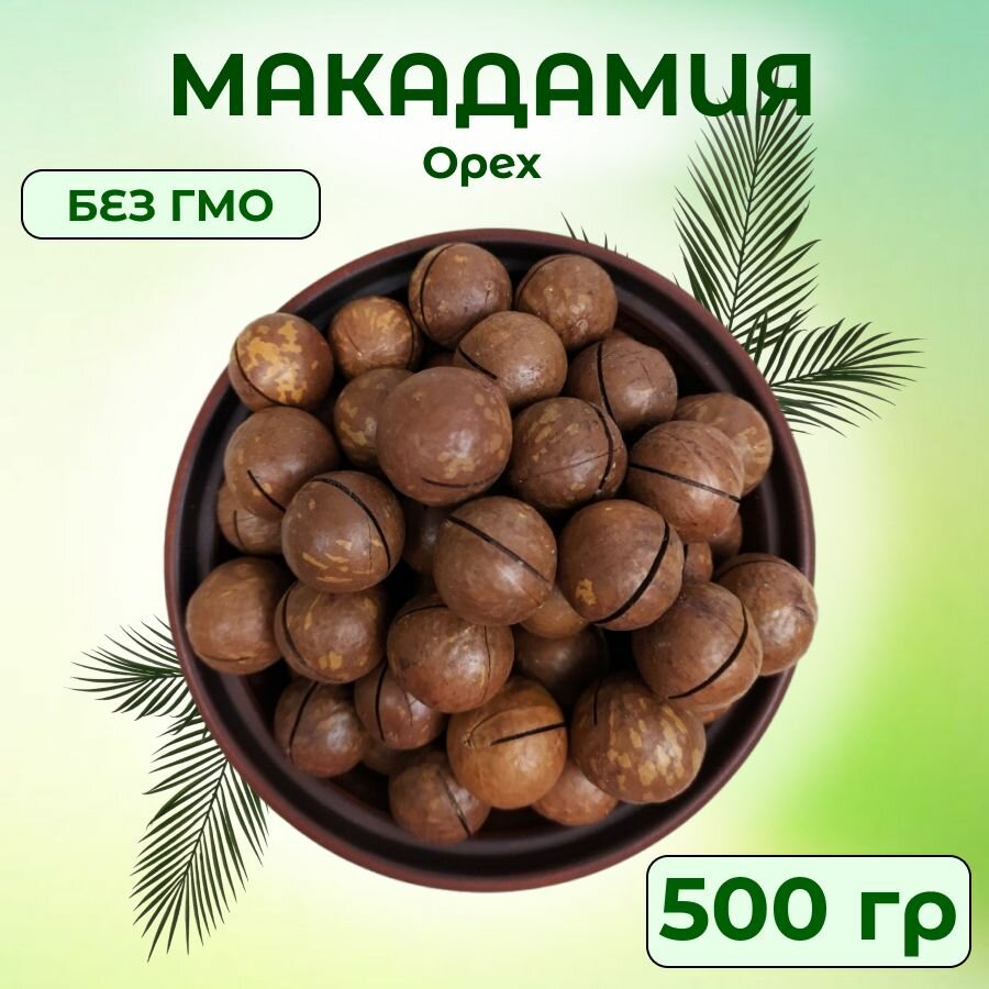Макадамия орех в скорлупе с ключом, 500 гр