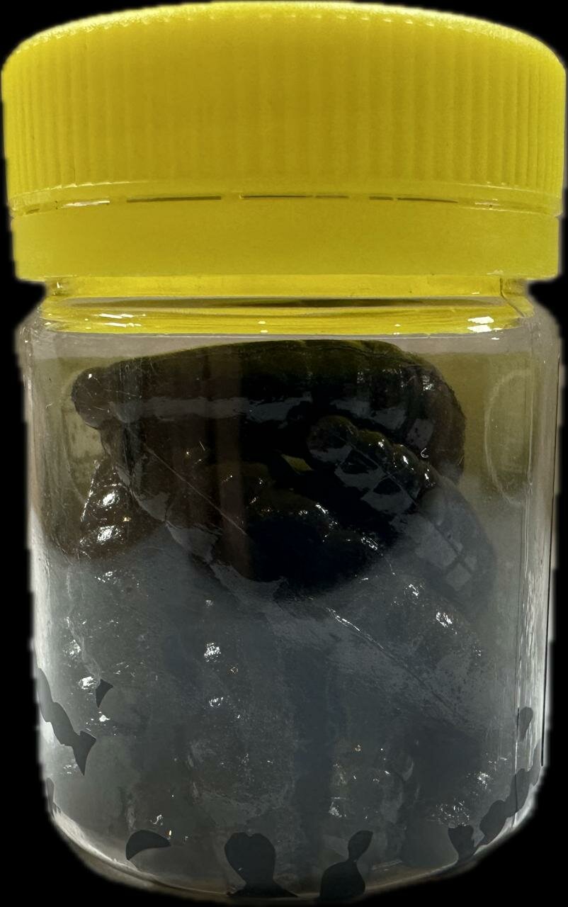 Приманка Cool Place Maggot Floating stretch 4см, цвет черный