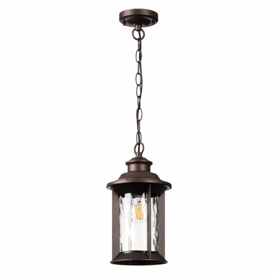 Odeon Light 4961/1 NATURE ODL22 733 темно-коричневый/стекло Ландшафтный подвес E27 1*60W IP44 MAVRET