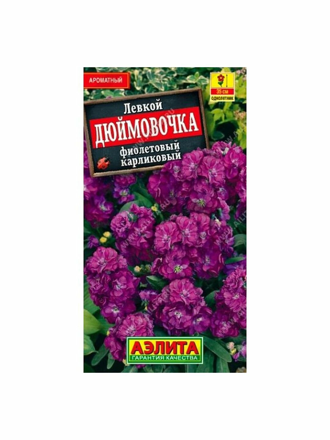 Семена Левкой Дюймовочка фиолетовый, карликовый, однолетник, Аэлита, 1 пачка - 0.1г семян