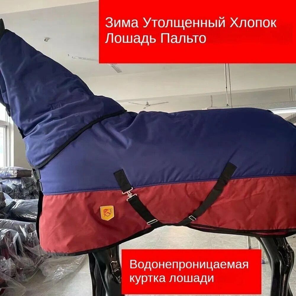 Попоны Для Лошадей