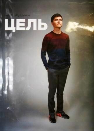 Цель (мягкий переплёт). Аяз Шабутдинов