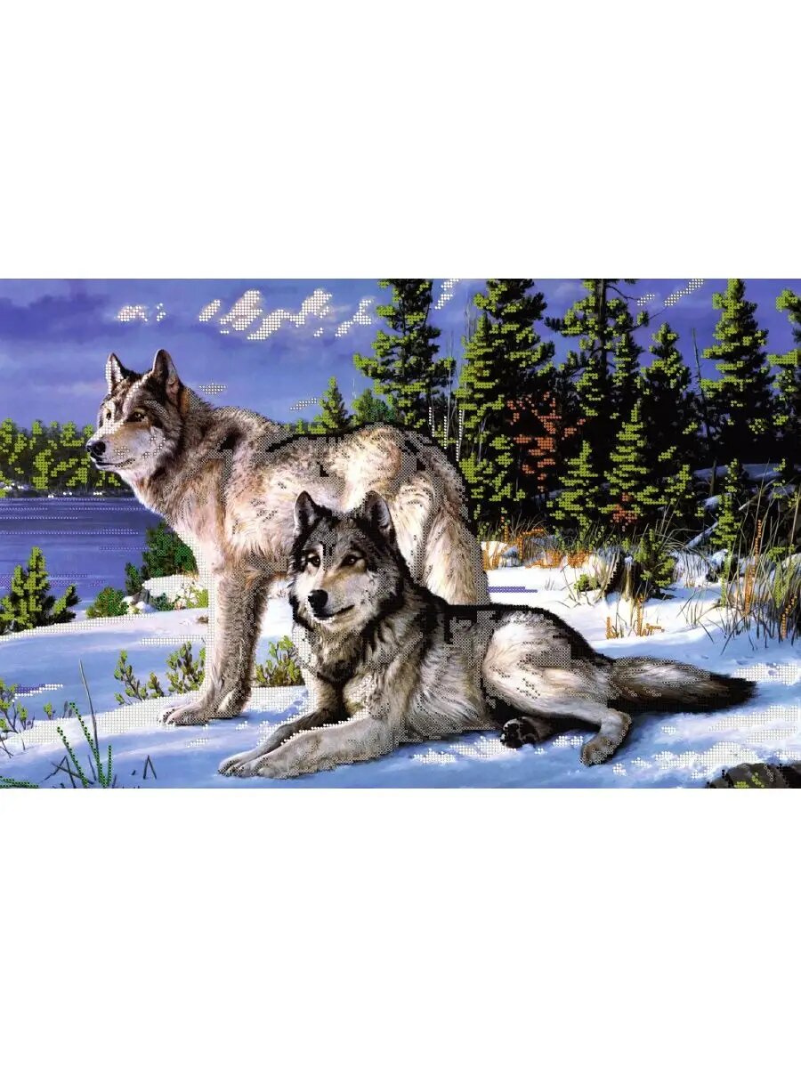 Набор для вышивания бисером 34*54 см