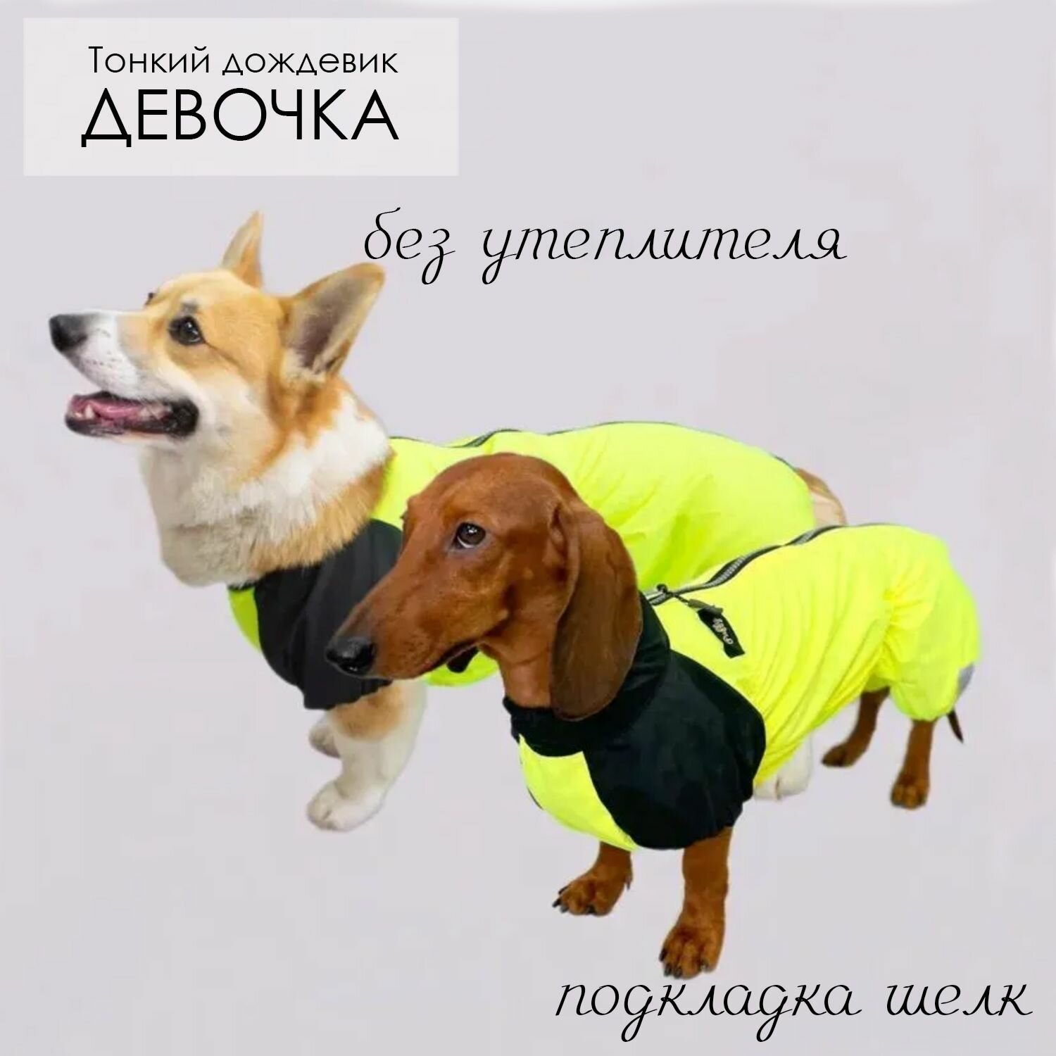 Комбинезон для собак, дождевик для собак Такса и Корги Лайм