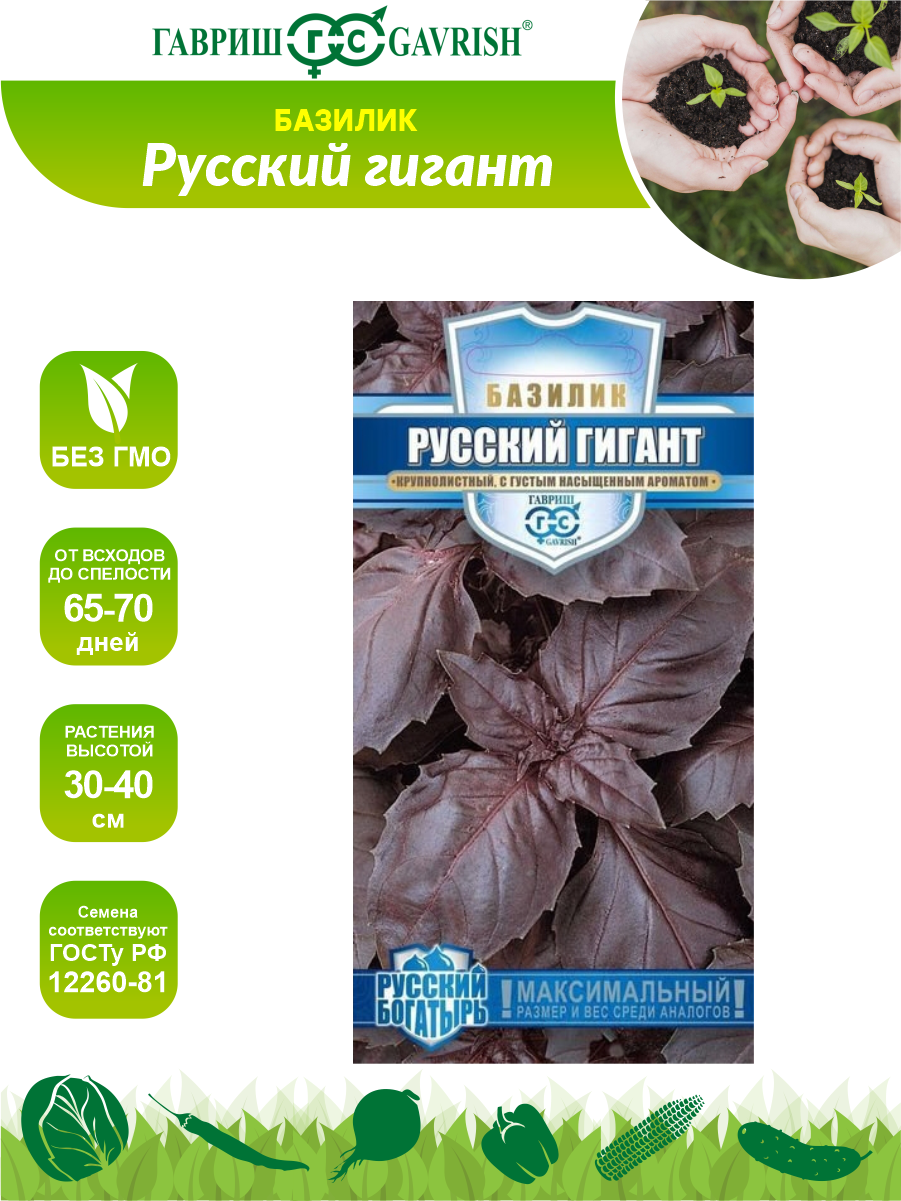 Семена Базилик Русский гигант фиолетовый серия Русский богатырь 0,2 гр.