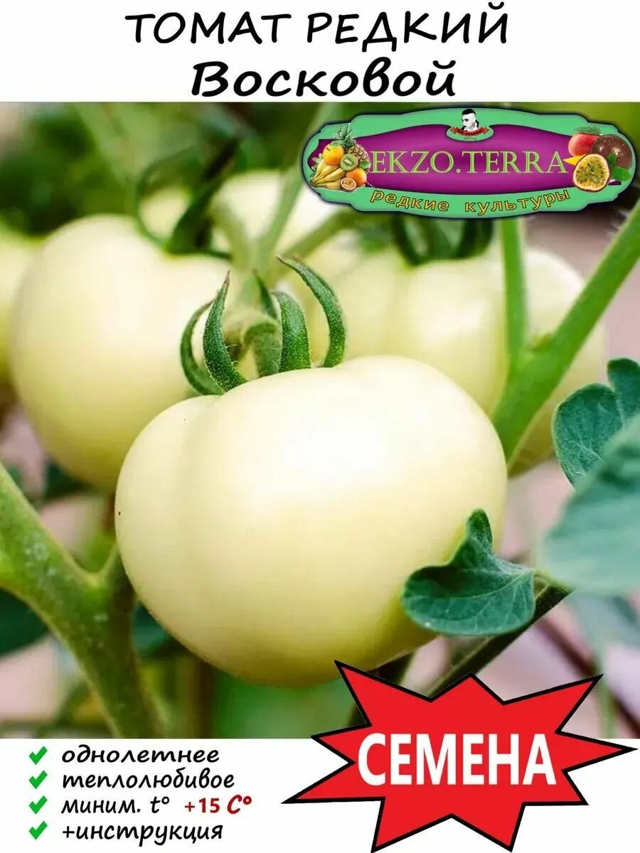 Семена Томат "Восковой Белый" 10 шт.