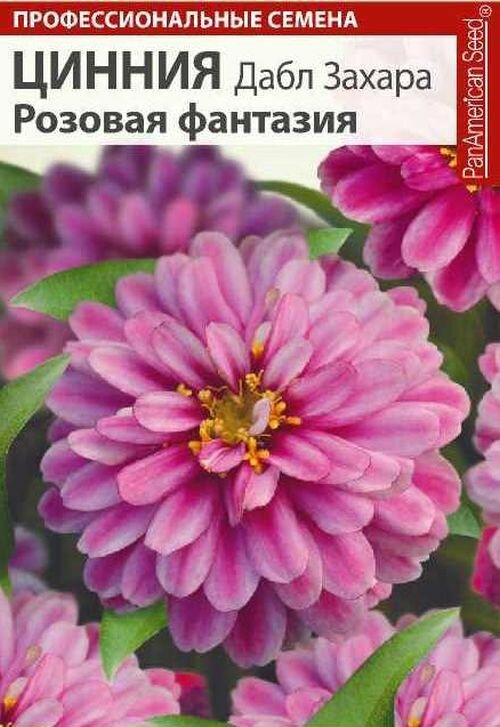 Семена Цинния дабл захара Розовая фантазия 6 шт.