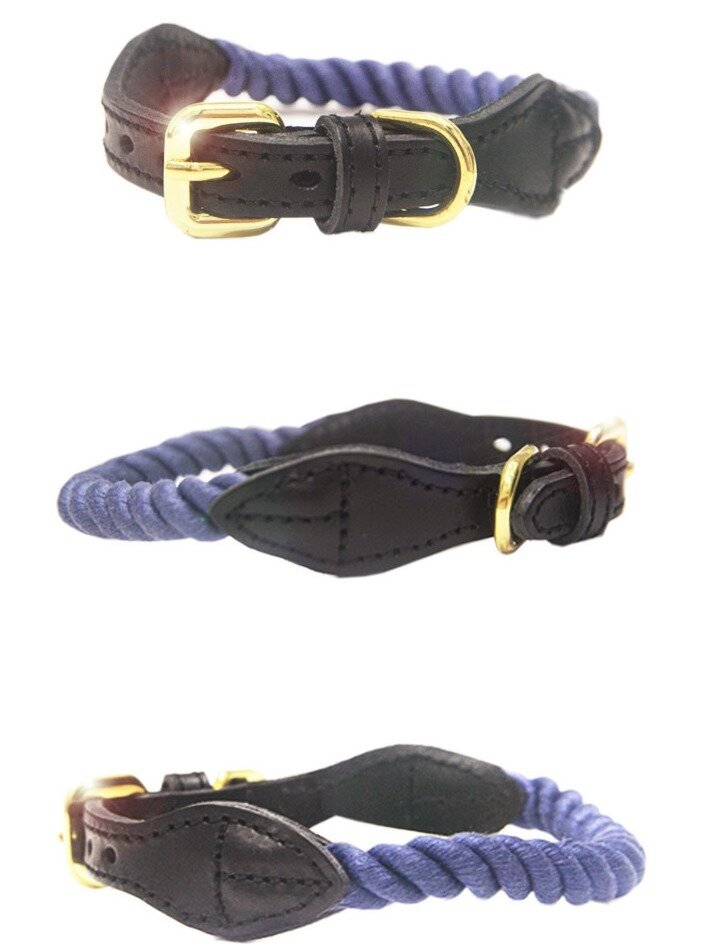 Ошейник для собак с Характером Japan Premium Pet, синий, размер S