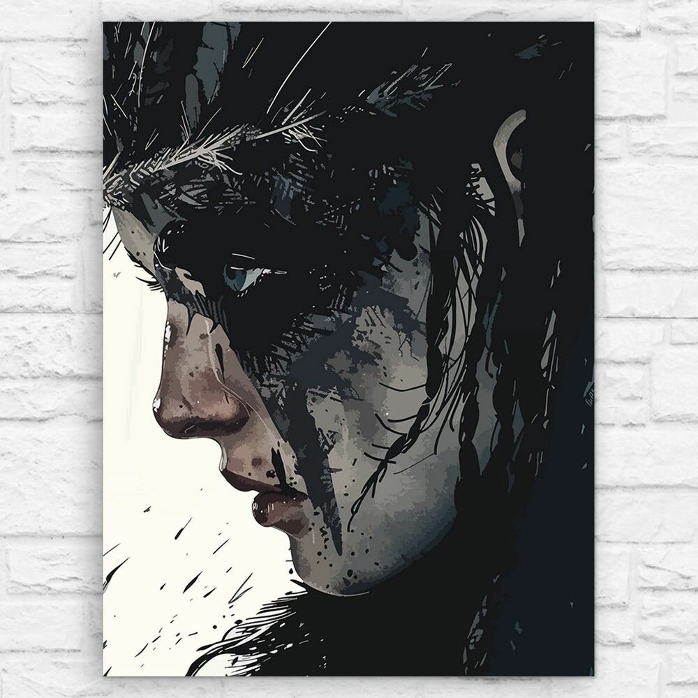 Картина по номерам на холсте игра Hellblade (Сенуа, PS, PC, SWITCH, XBOX) - 15160 В 60x80