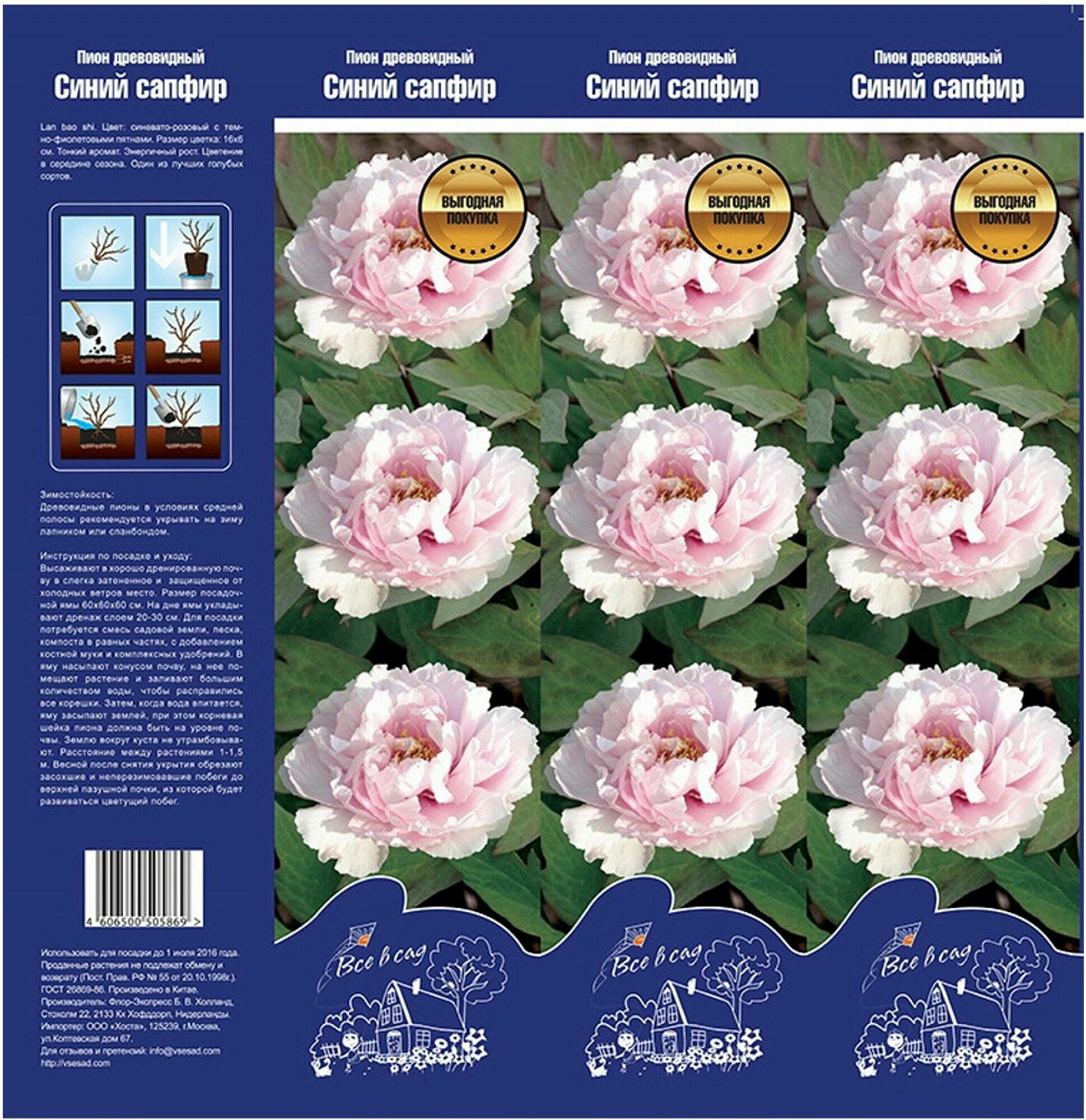 Саженец пиона "Синий сапфир", многолетник, цветы, аромат, 16х6 см