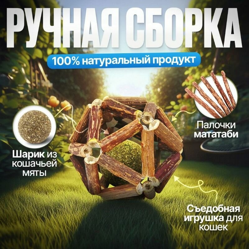 Кошачья мята. В комплект входят шарики из кошачьей мяты для чистки зубов и десен.