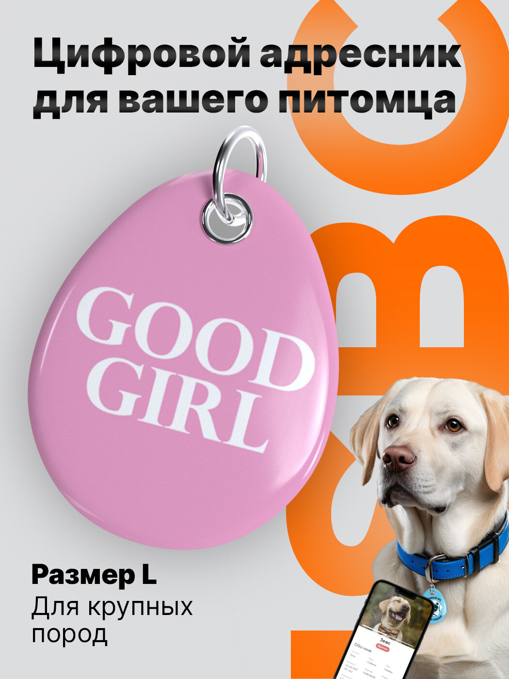 Адресник для собак средних и крупных пород от ISBC с NFC и QR-кодом, Good girl