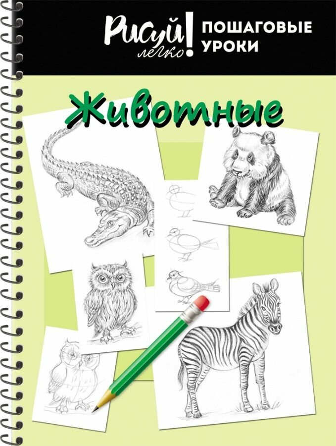 Блокнот Проф-пресс "Рисуй легко! Пошаговые уроки" А5 64 листа, Животные - 4, выборочно лак (64-3639)