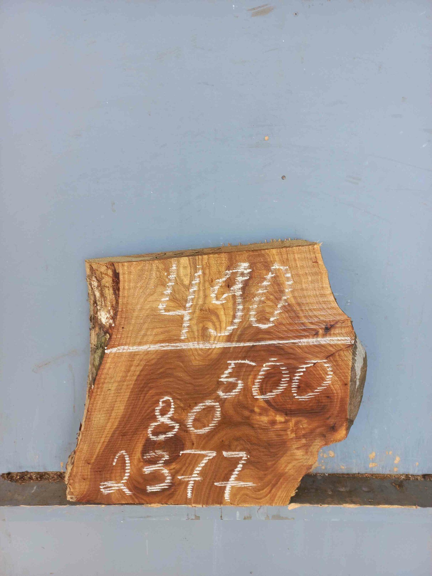 Слэб из массива дерева ценных пород Карагач №2377, 8*49*50 см, доклес