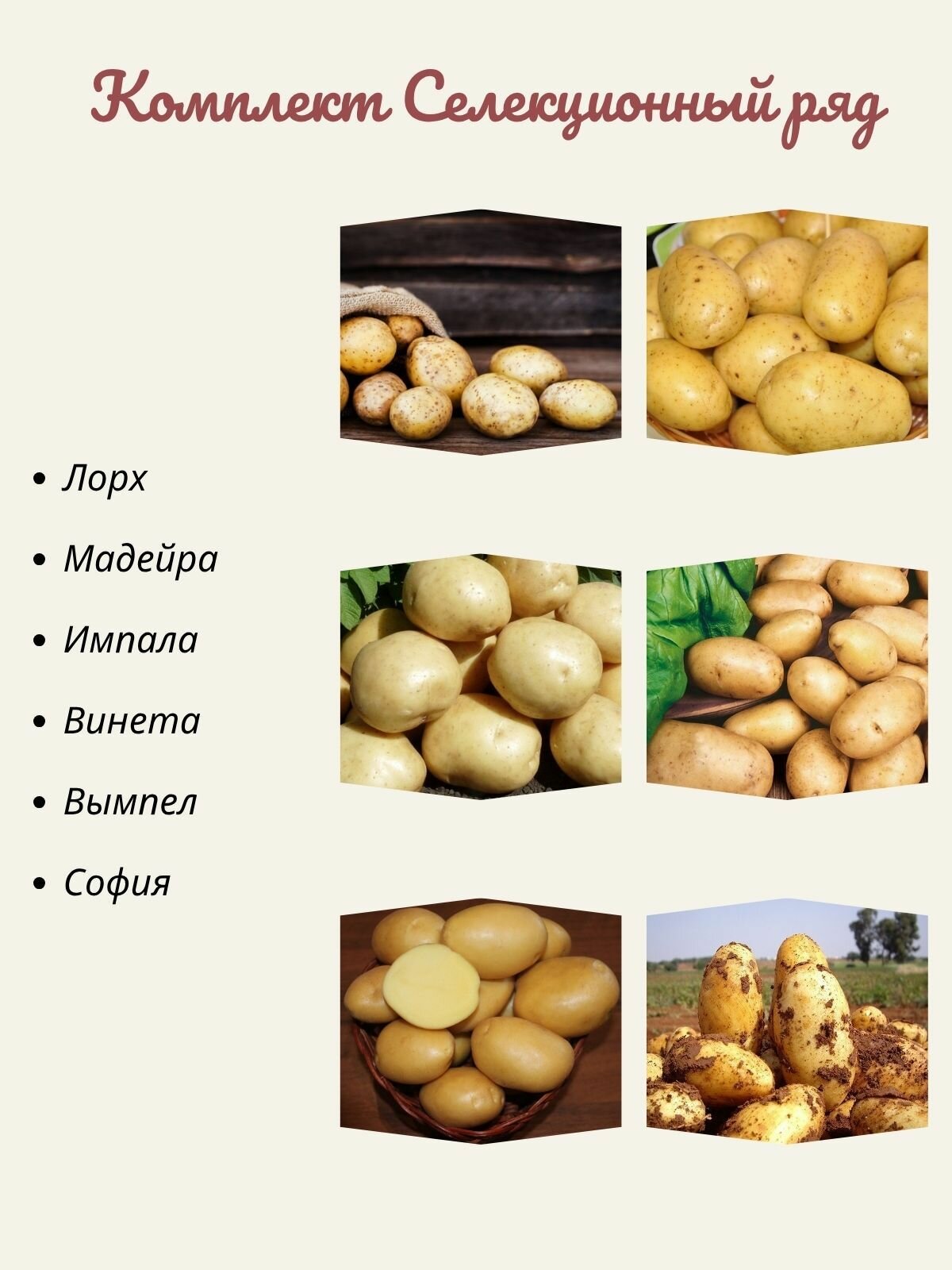 Комплект картофеля из 6 сортов "Селекционный ряд" 3 кг