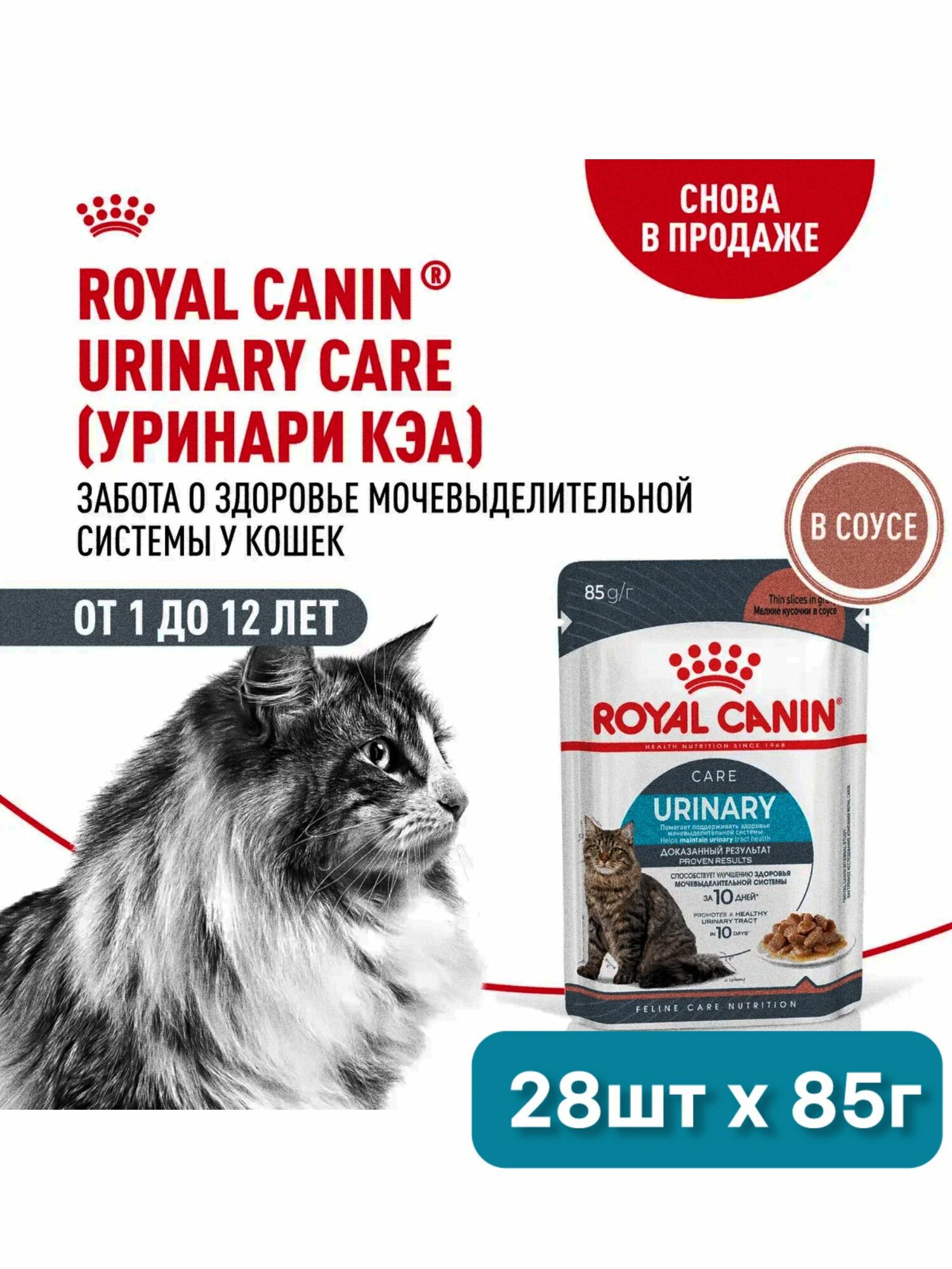 Влажный корм для кошек 28шт х 85г Urinary Care для профилактики МКБ, в соусе
