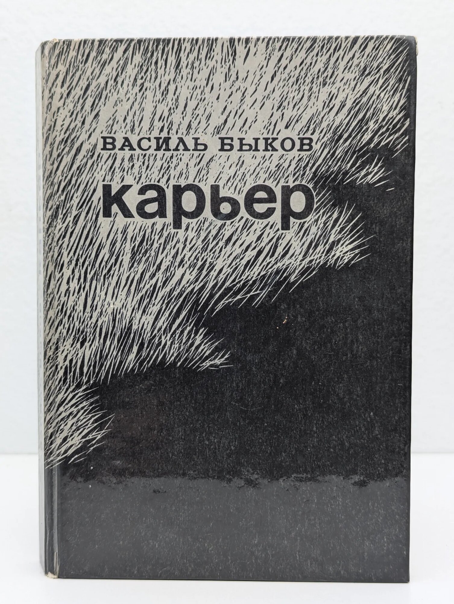 Карьер Быков Василь Владимирович 1988