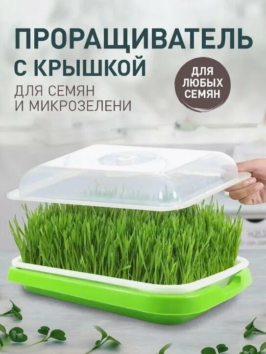 Парник, теплица прямостенная Проращиватель семян и микрозелени с крышкой "лотки для микрозелени" (гидропоника). Увеличенный объём. 0.335х0.25х0.11м, Пищевой пластик