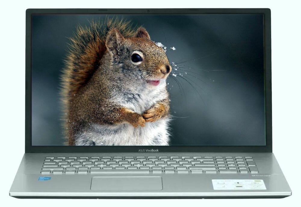 Ноутбук ASUS Intel Core i3 4,4ГГц 6 ядер. 17' 1920x1080 Intel UHD Graphics Windows 11 Pro Русская раскладка