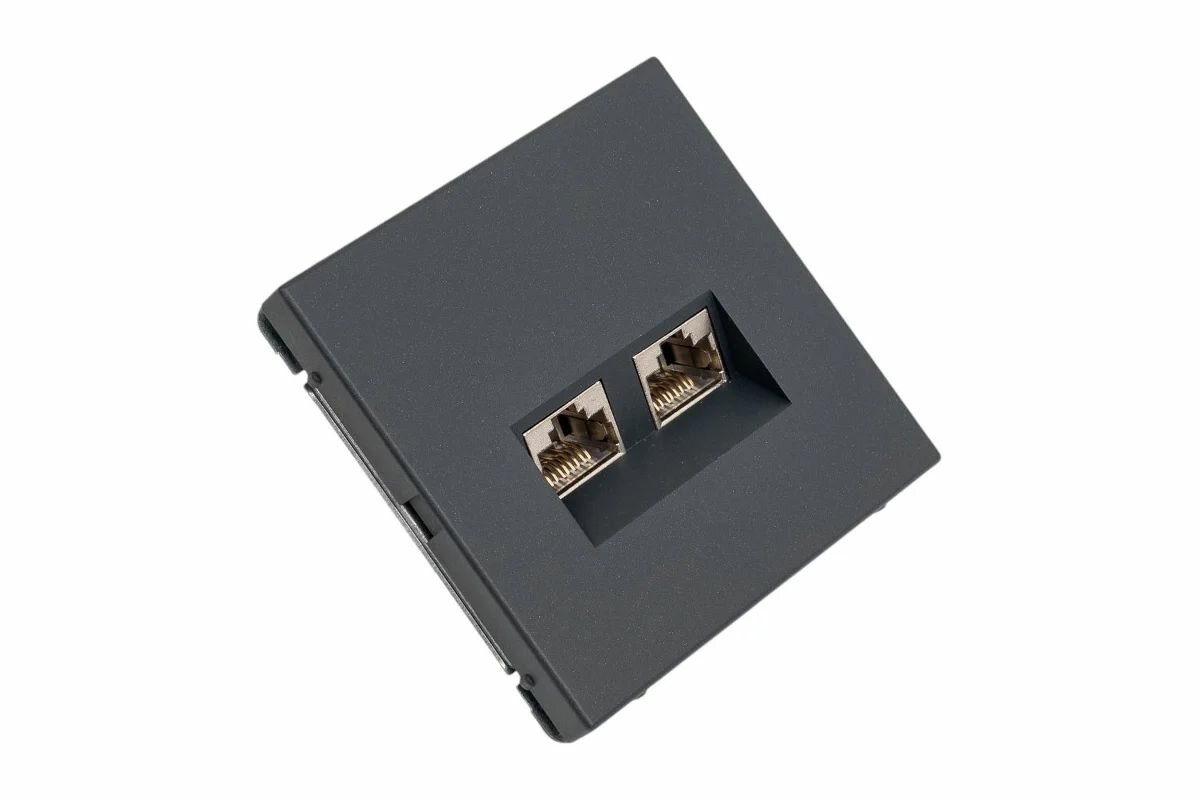 Розетка С/У 2-я комп. RJ45+RJ45 Cat.6a (мех. с накл.) базальт ArtGallery