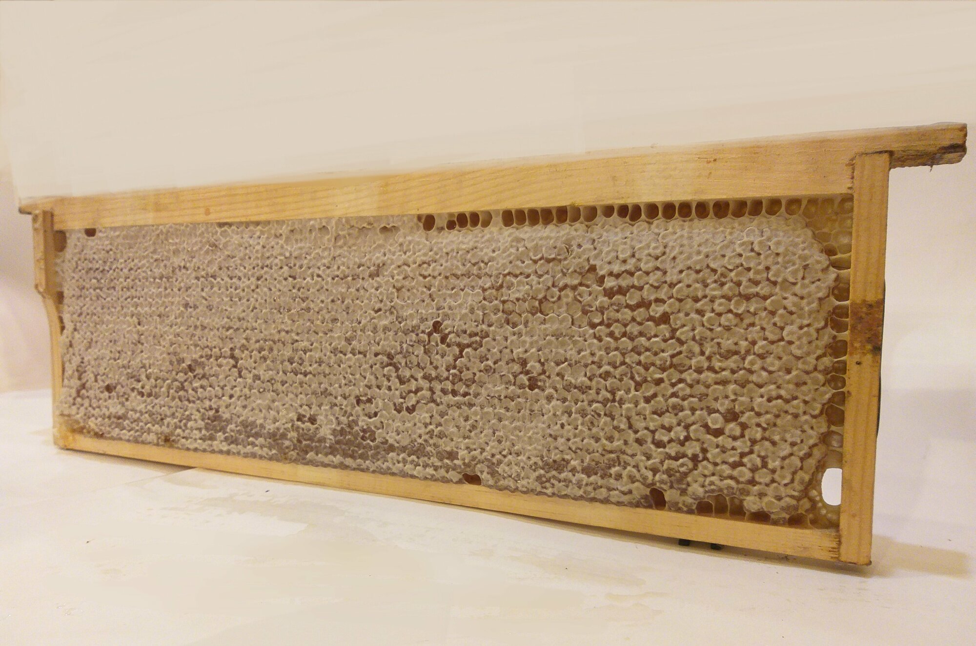 Сотовый мед-разнотравье ИП Шалобода, цветочный, в сотах, 2 кг 2025г.