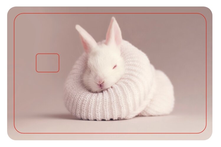 Наклейка на банковскую карту, стикер на карту, маленький чип, мемы, приколы, комиксы, стильная наклейка мемы, кролик