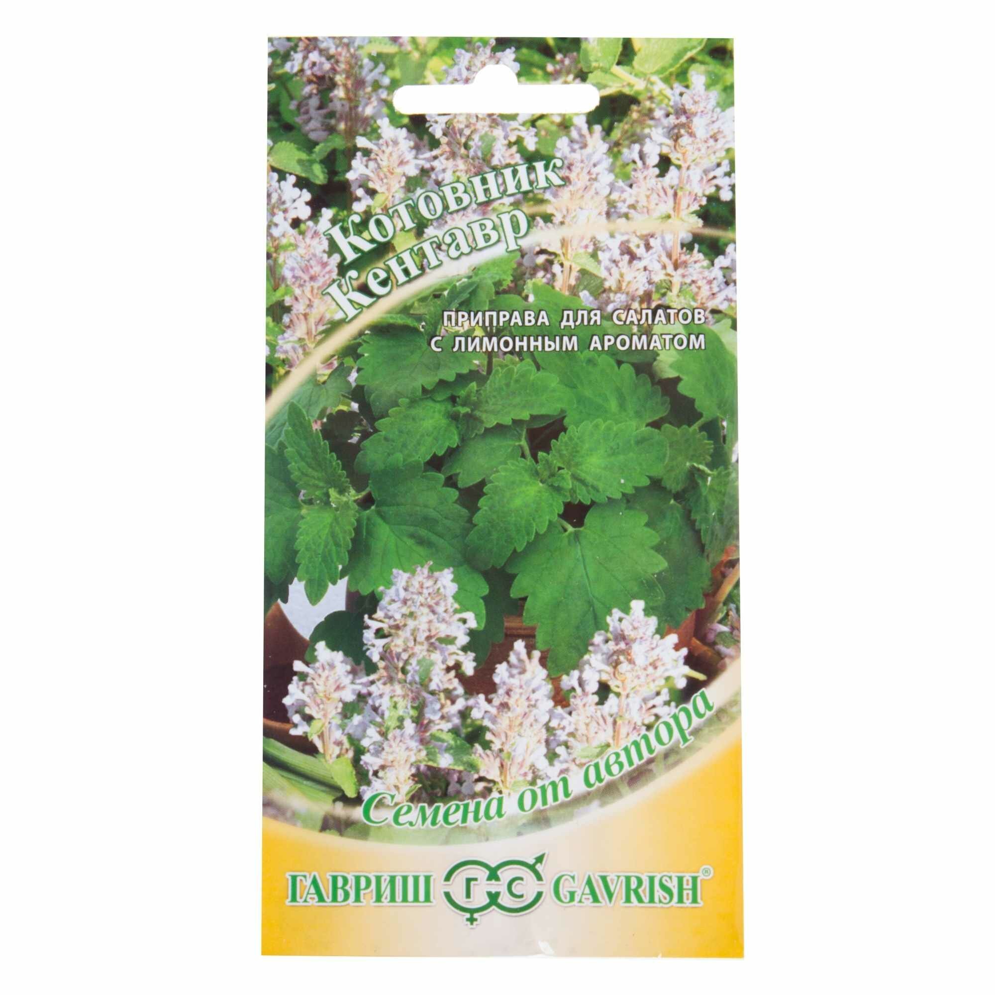 Семена Котовник «Кентавр»