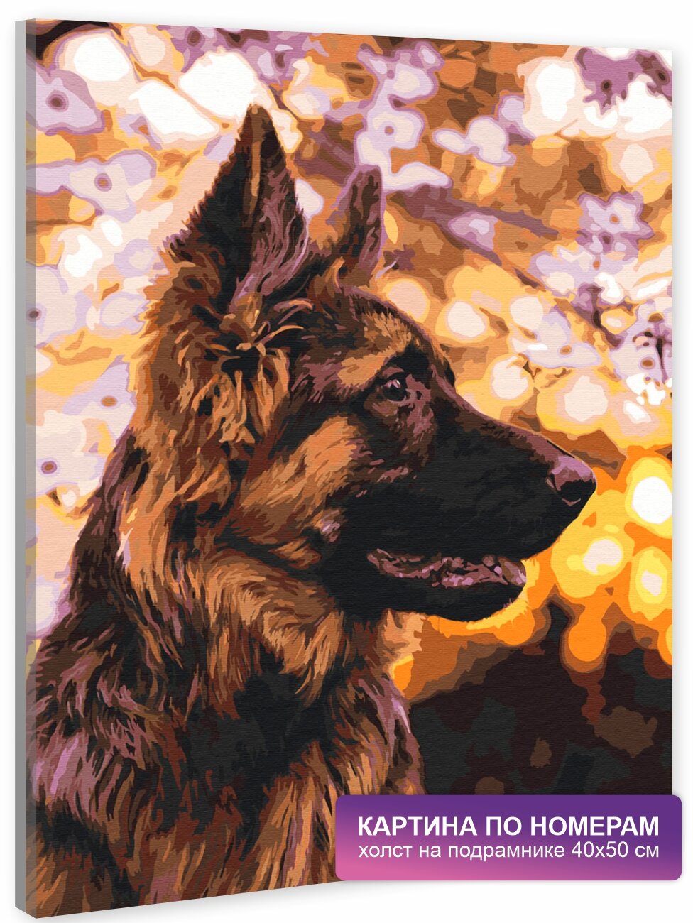 Картина по номерам на холсте с подрамником 40х50 см. Природа, животные, рыбы, птицы. Собаки, щенки. "Овчарка", арт. 2846/