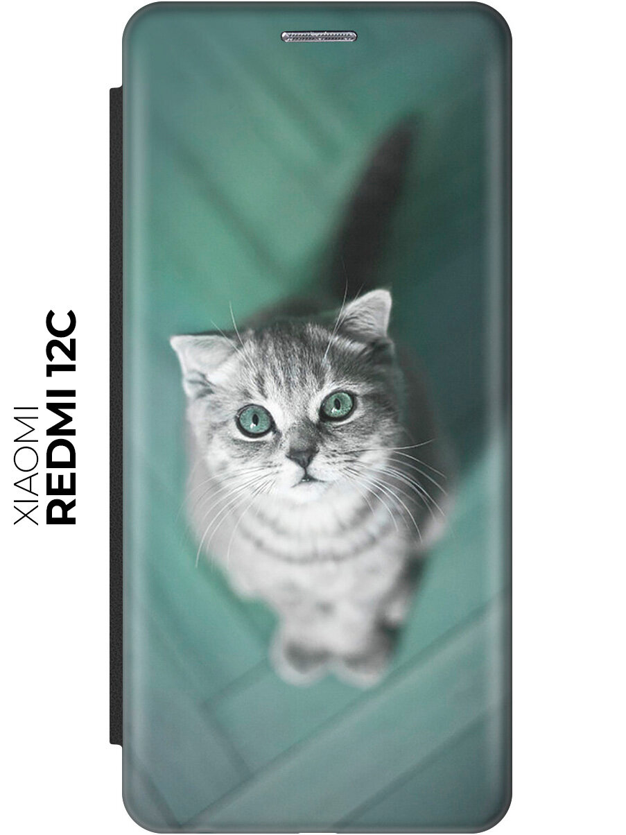 Чехол-книжка на Xiaomi Redmi 12C / Сяоми Редми 12С с рисунком "Котик на зеленом полу" черный